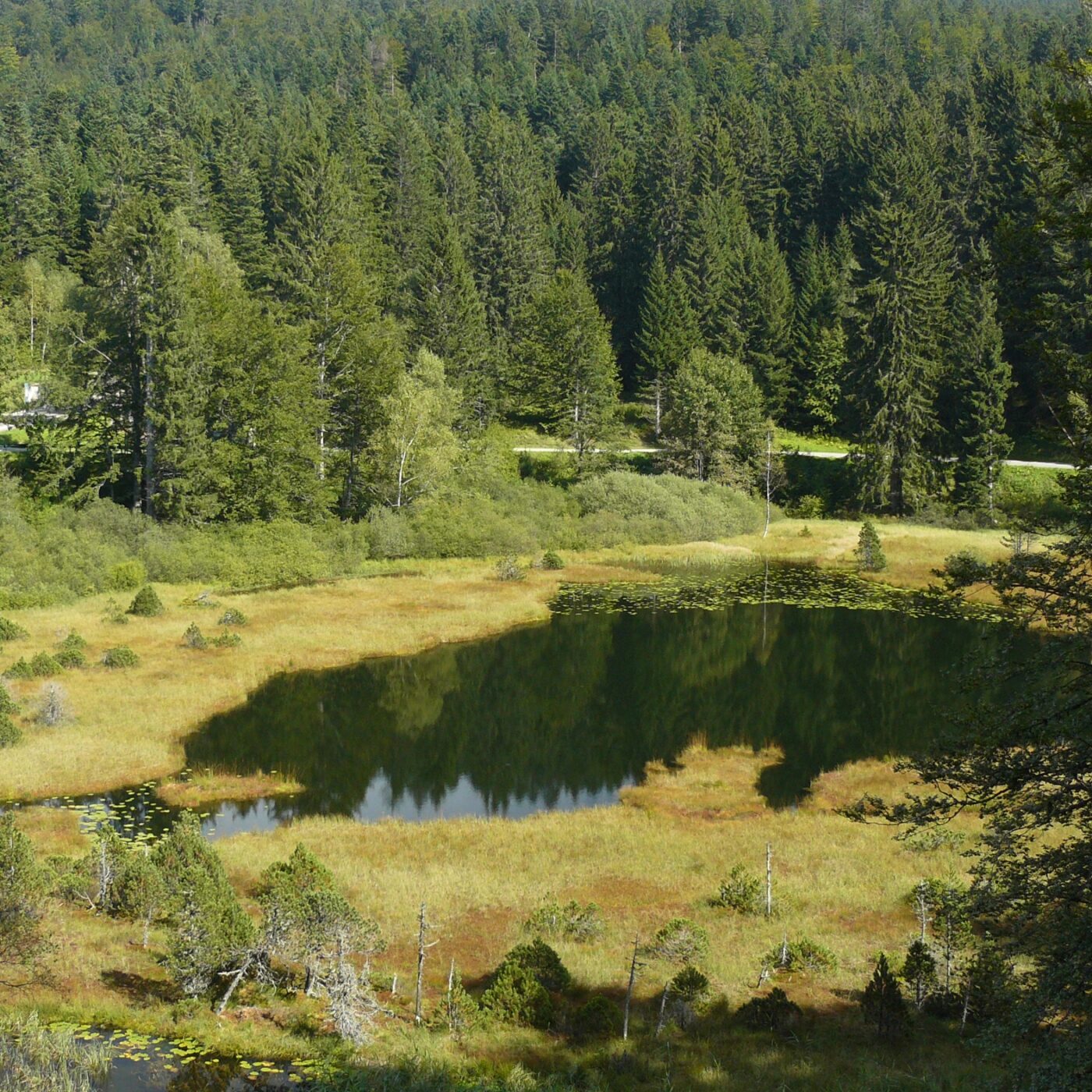 Fonctionnement des réserves naturelles – Réserves Naturelles de France