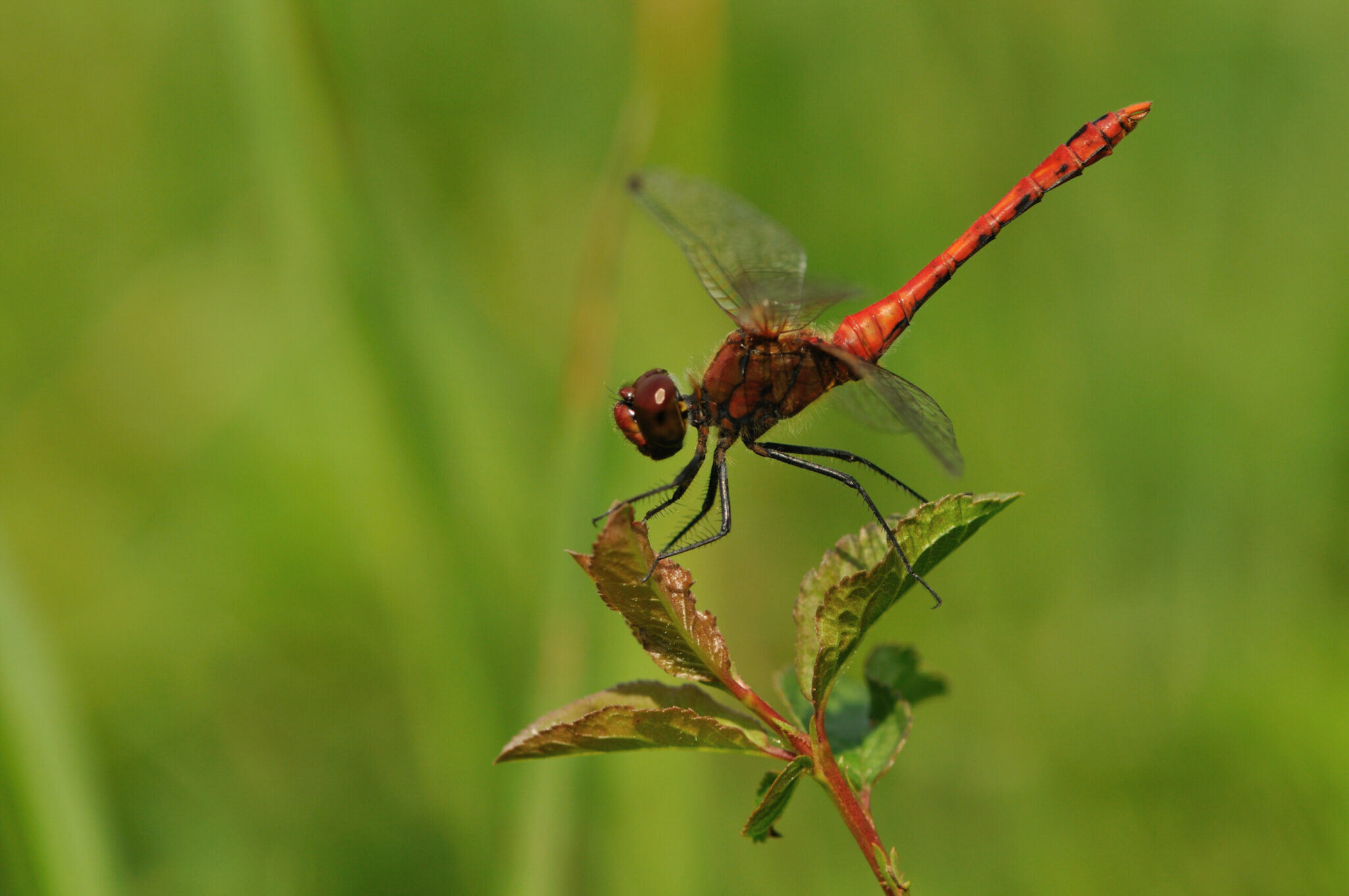 Découvrir les réserves naturelles – Réserves Naturelles de France