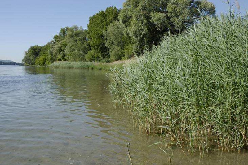 Île de la Platière – Réserves Naturelles de France